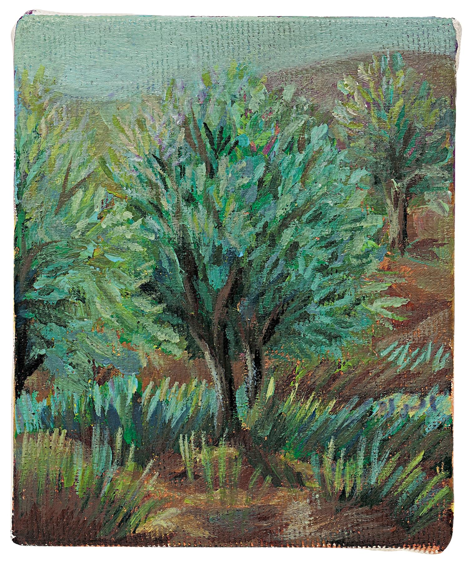 Imago Mundi Collection