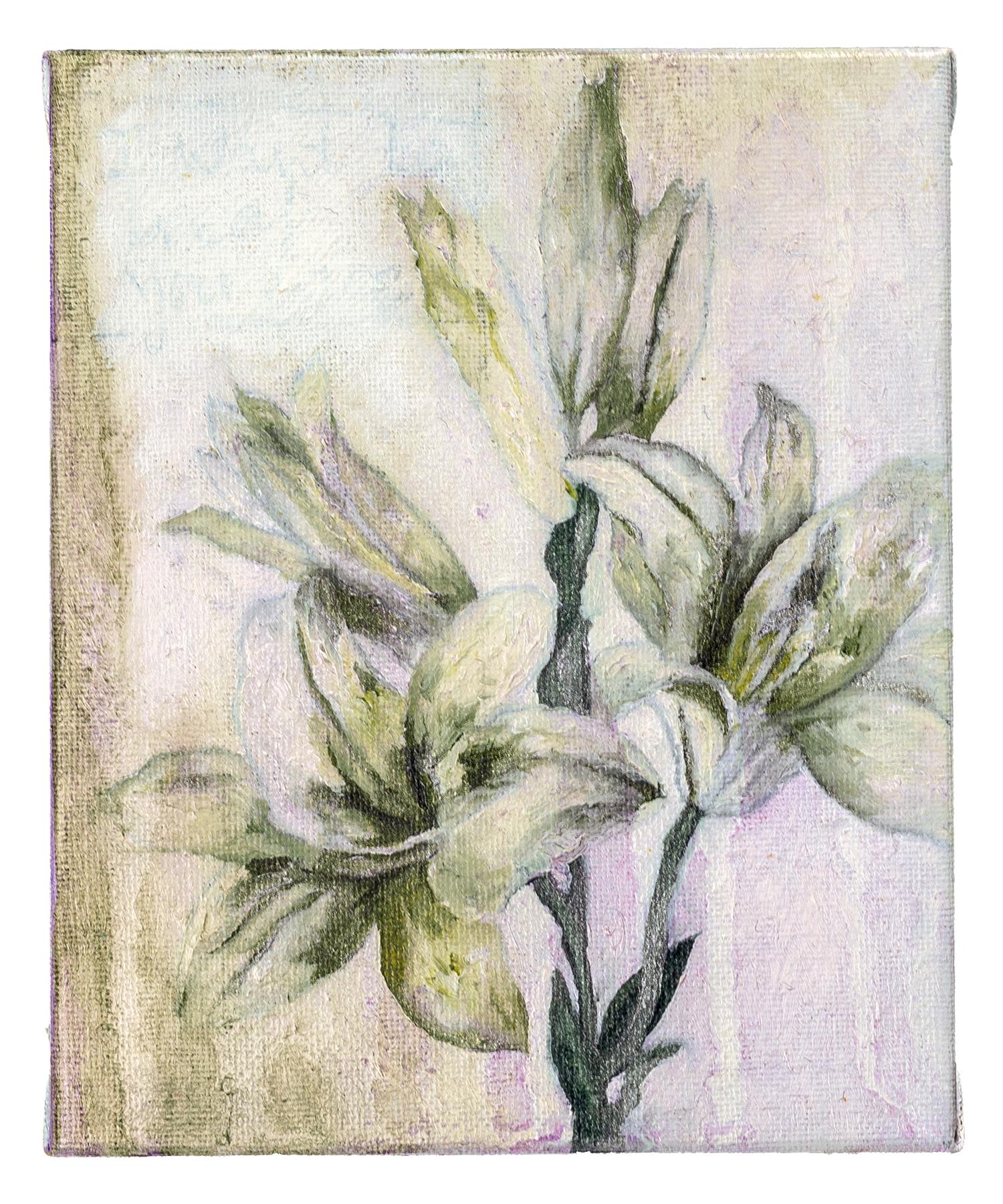 Imago Mundi Collection