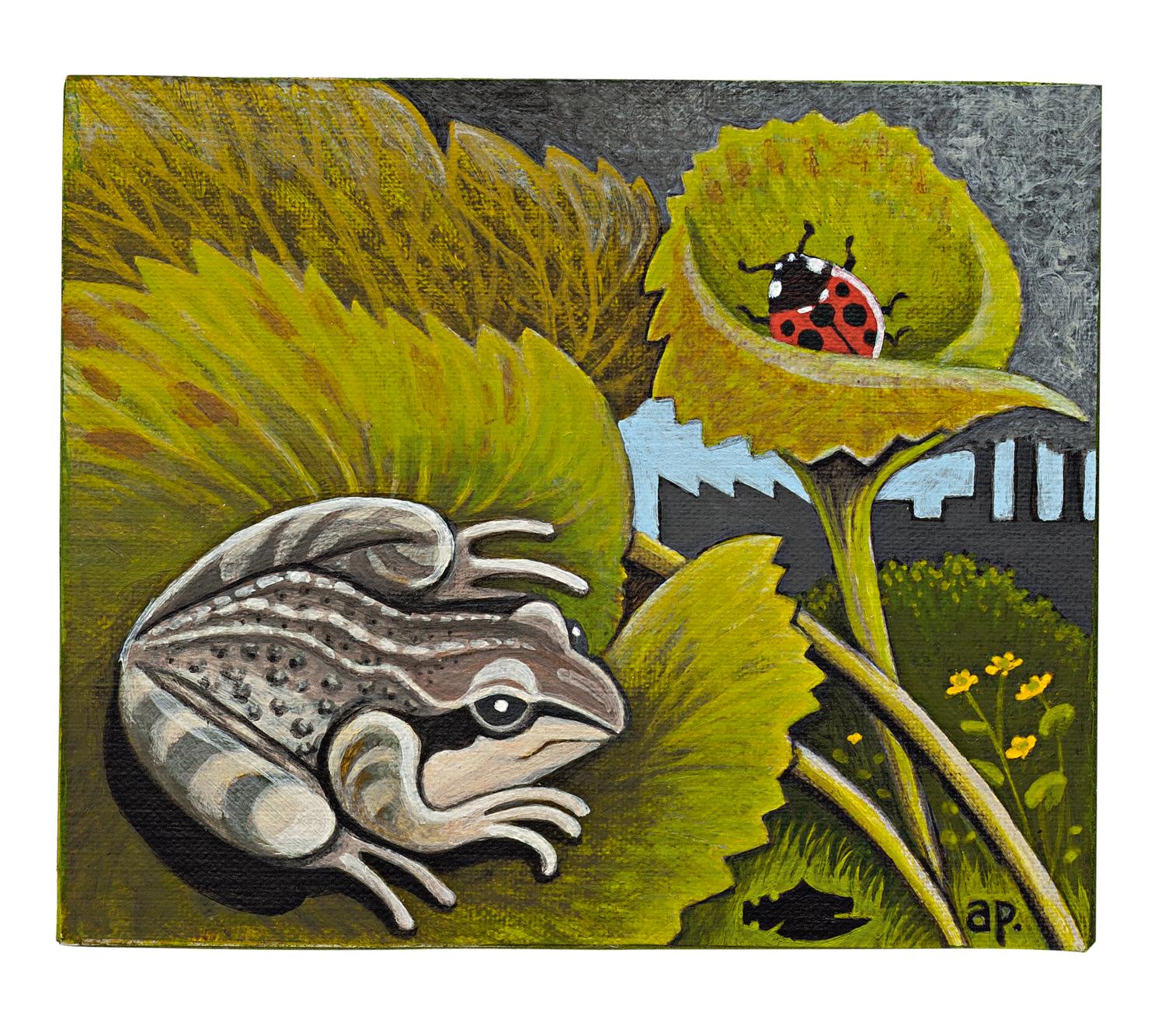 Imago Mundi Collection