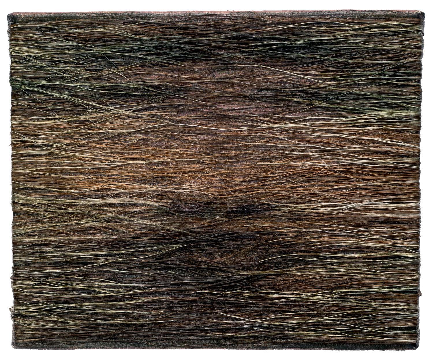 Imago Mundi Collection