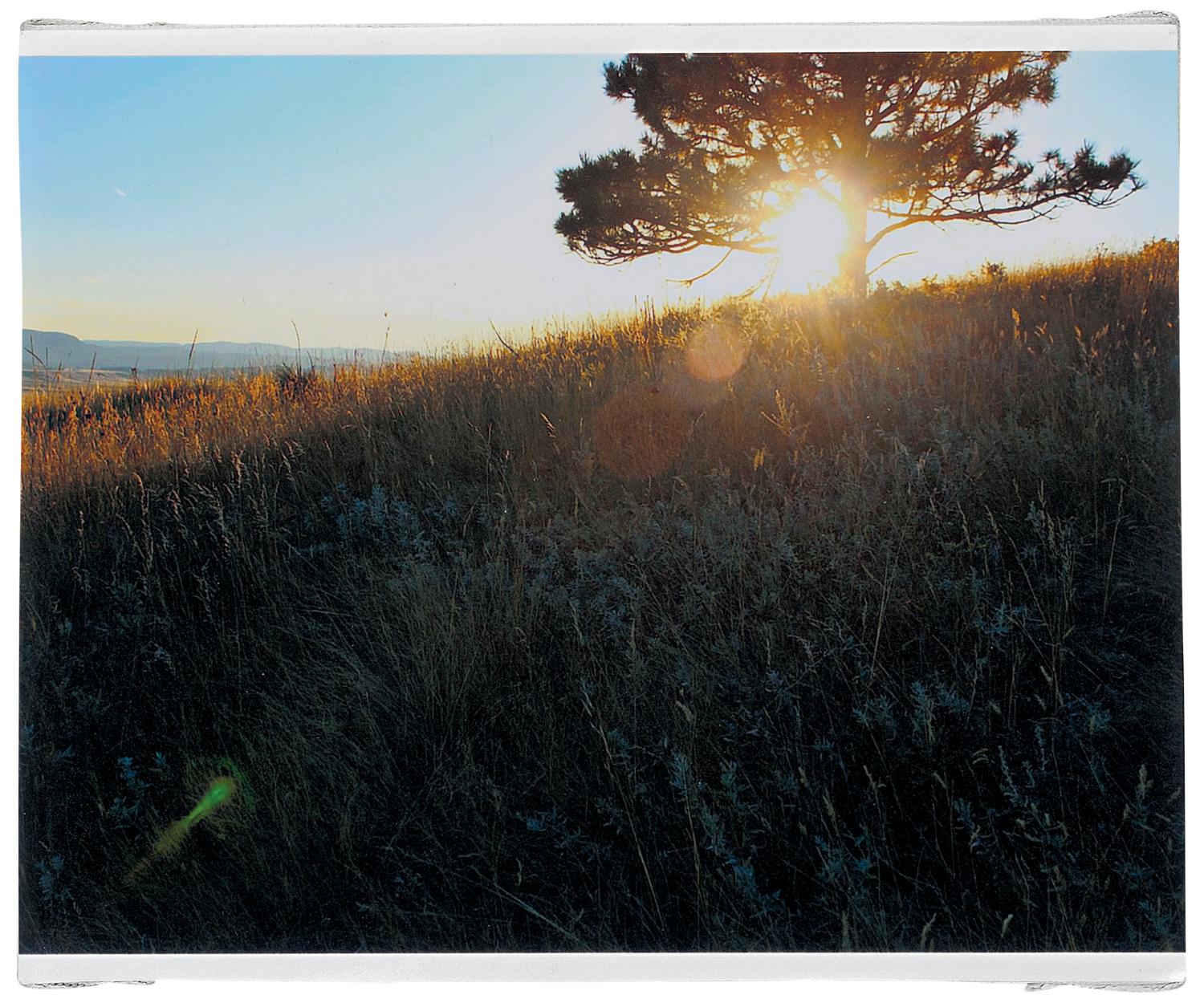 Imago Mundi Collection