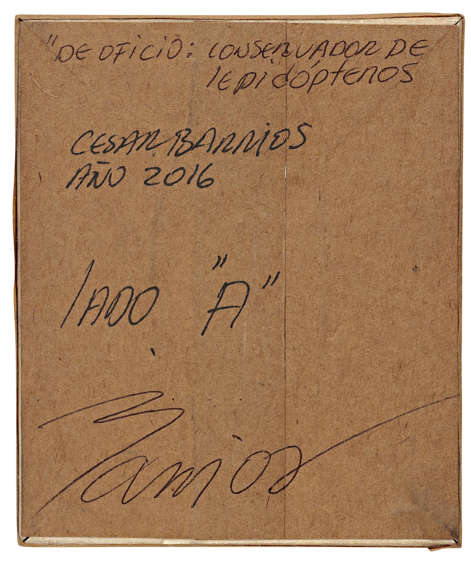 Imago Mundi Collection