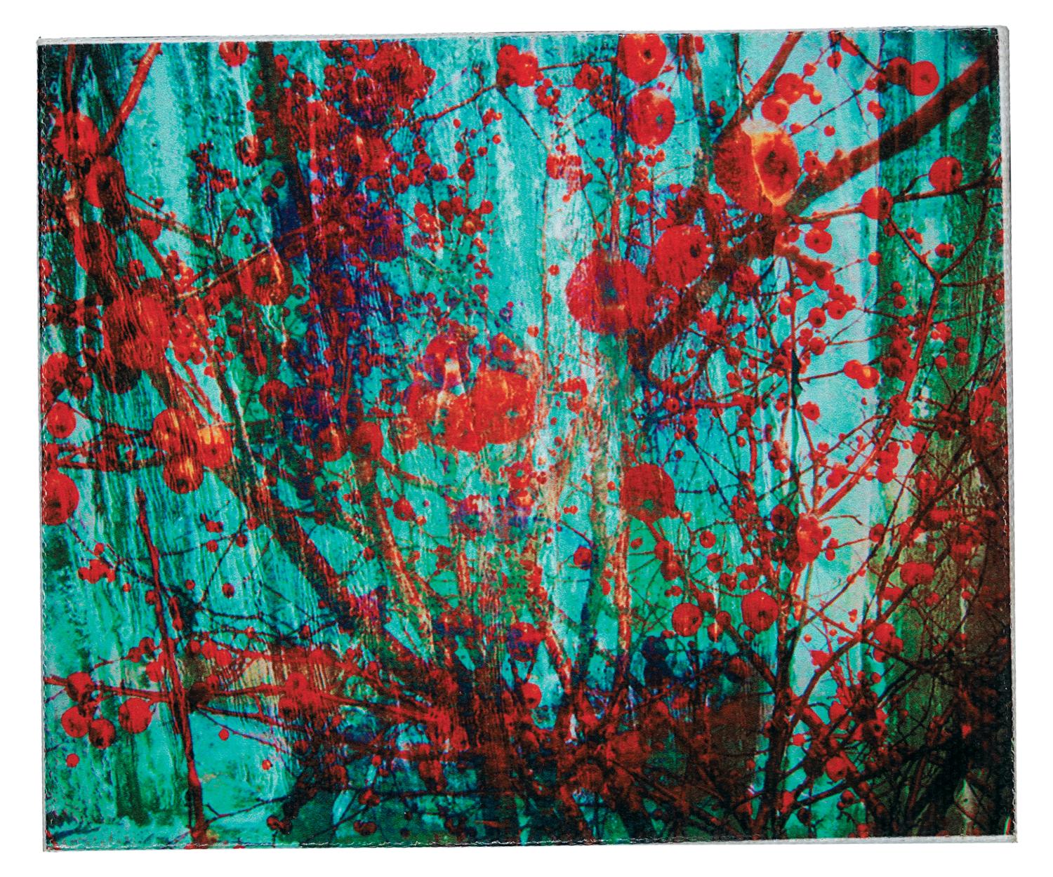 Imago Mundi Collection