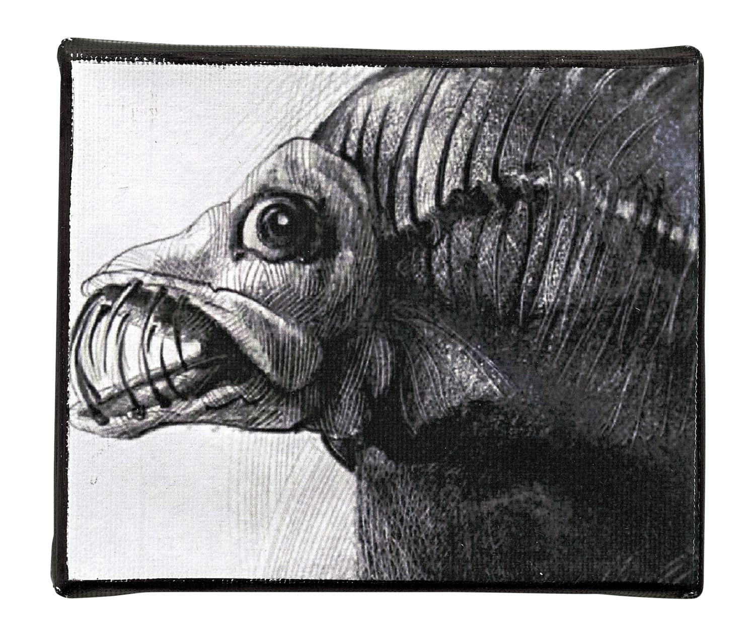 Imago Mundi Collection