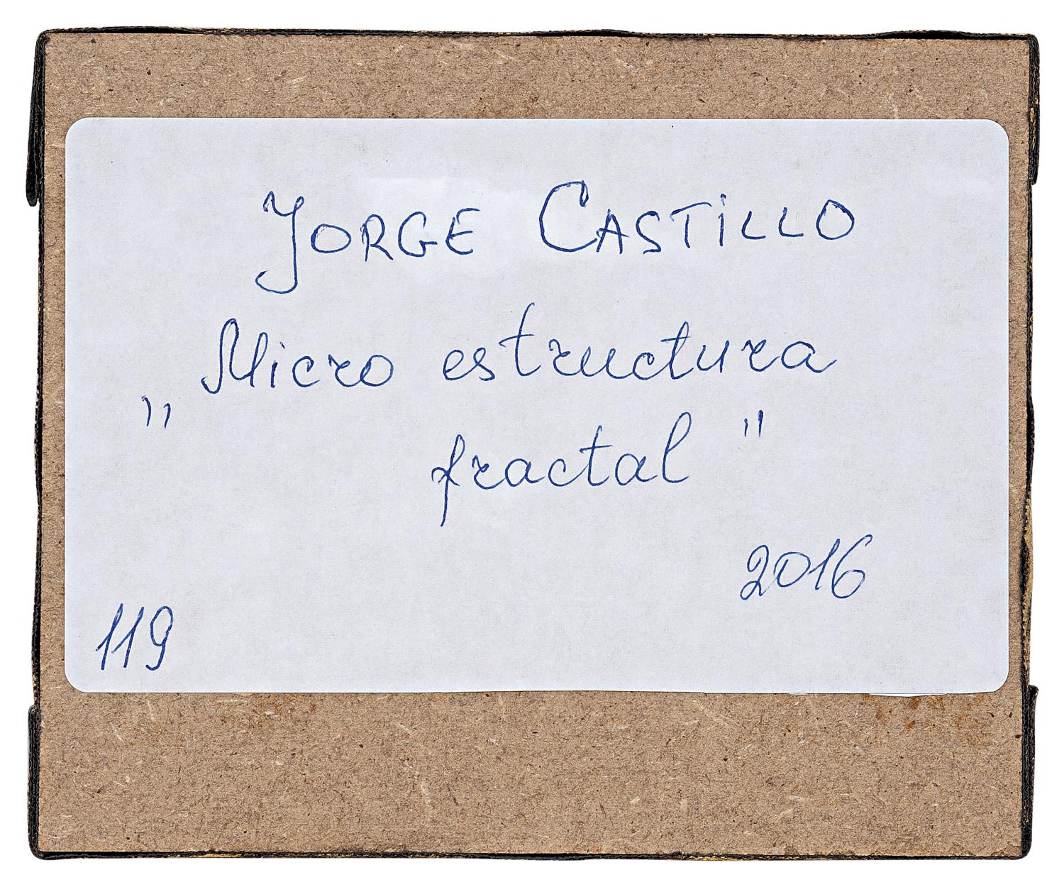 Imago Mundi Collection