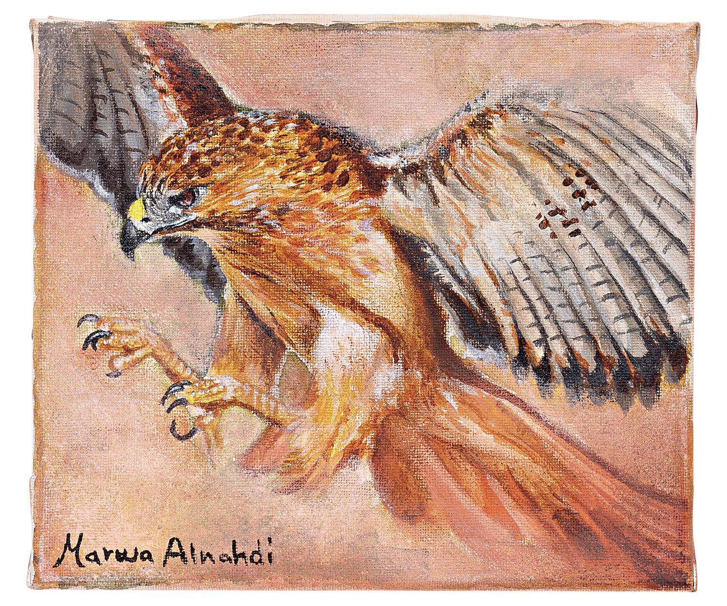 Imago Mundi Collection