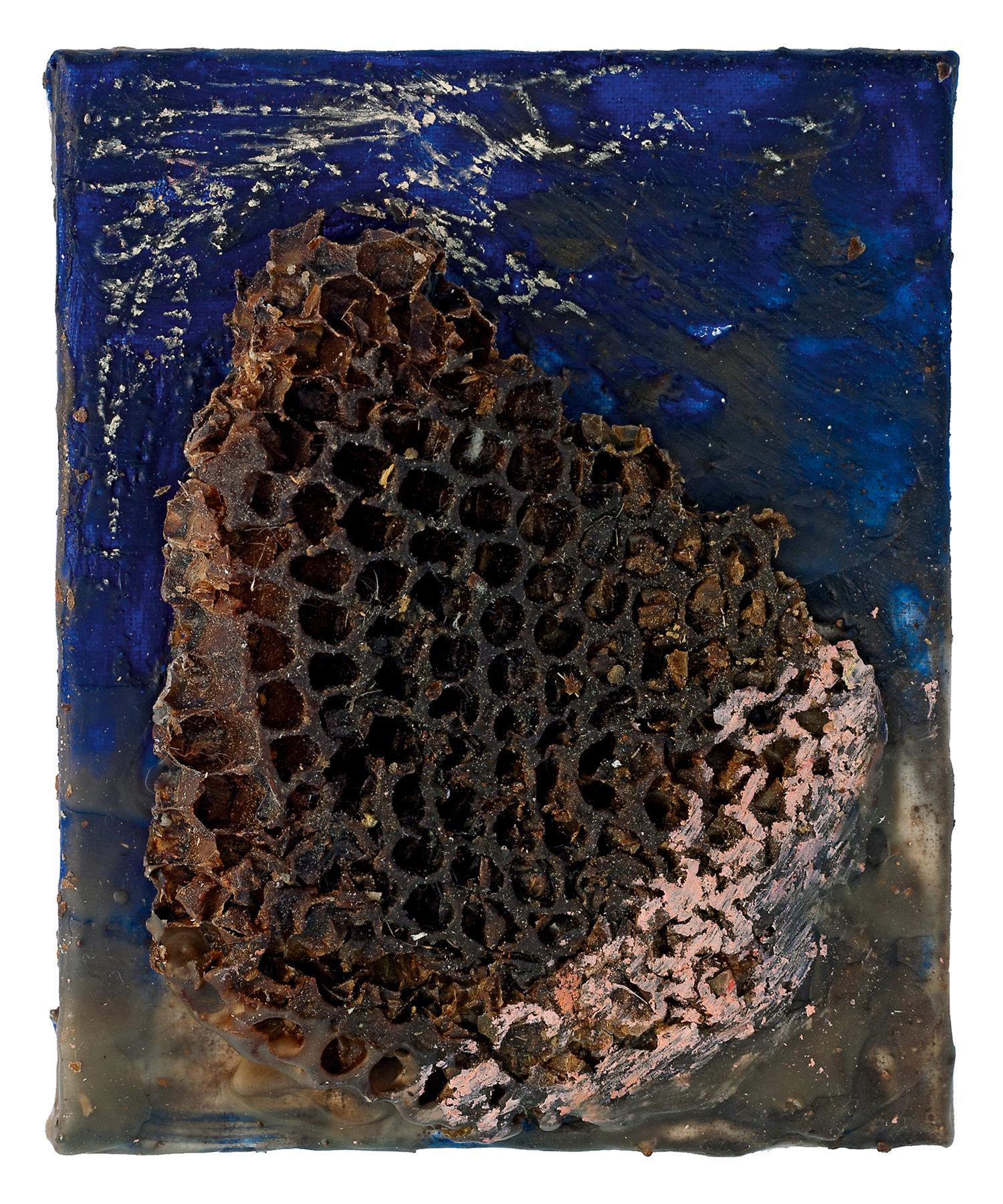Imago Mundi Collection