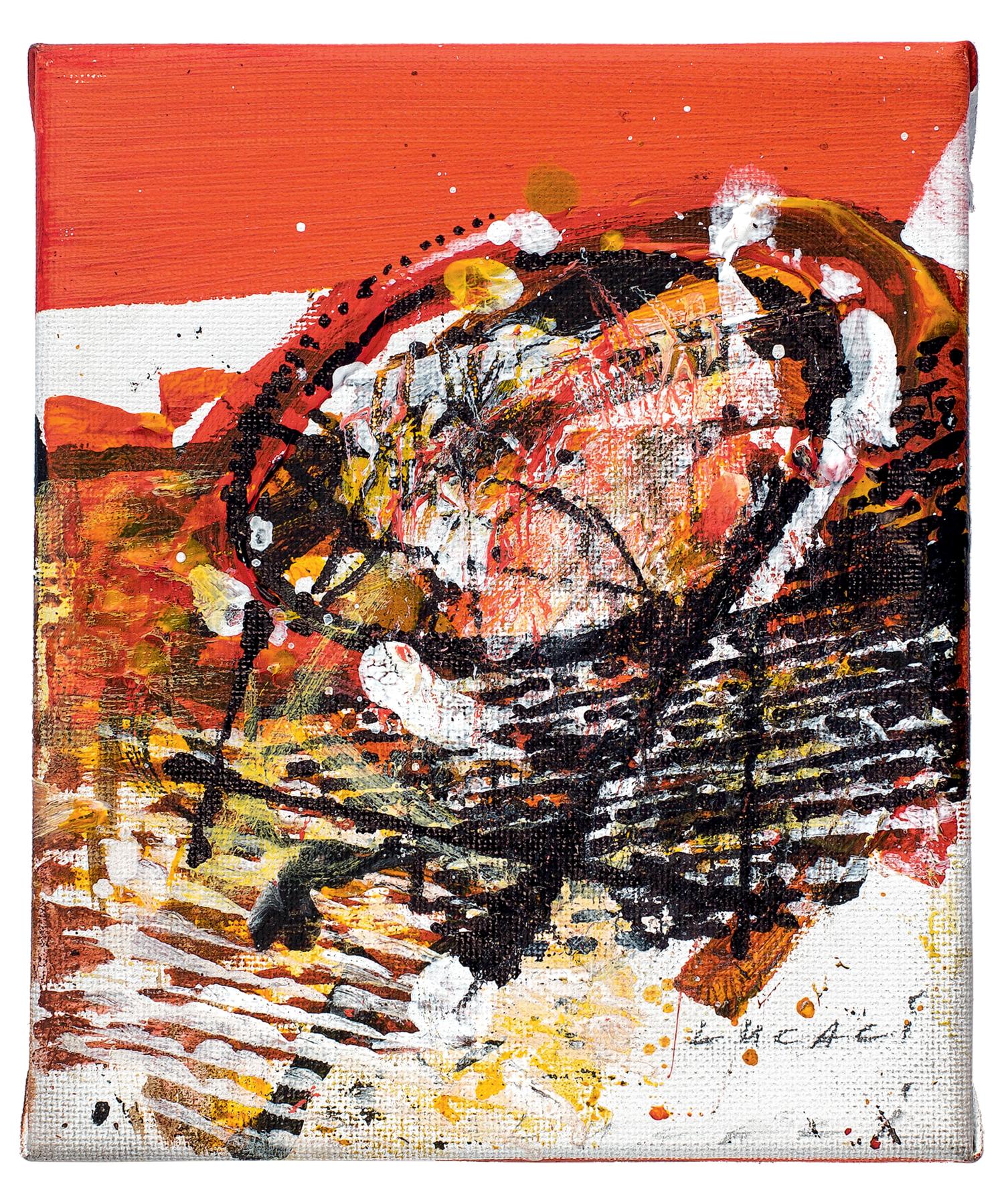 Imago Mundi Collection