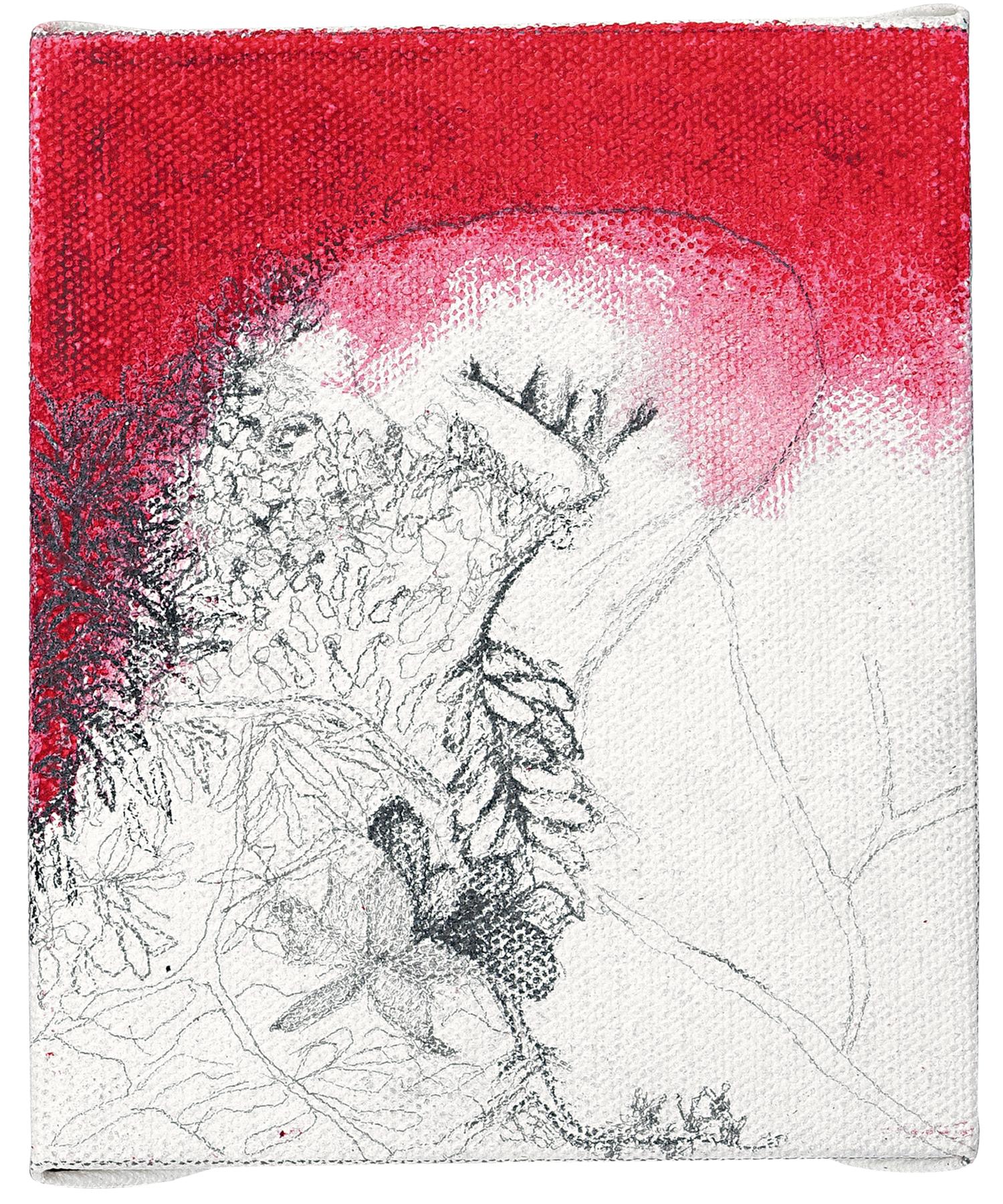 Imago Mundi Collection