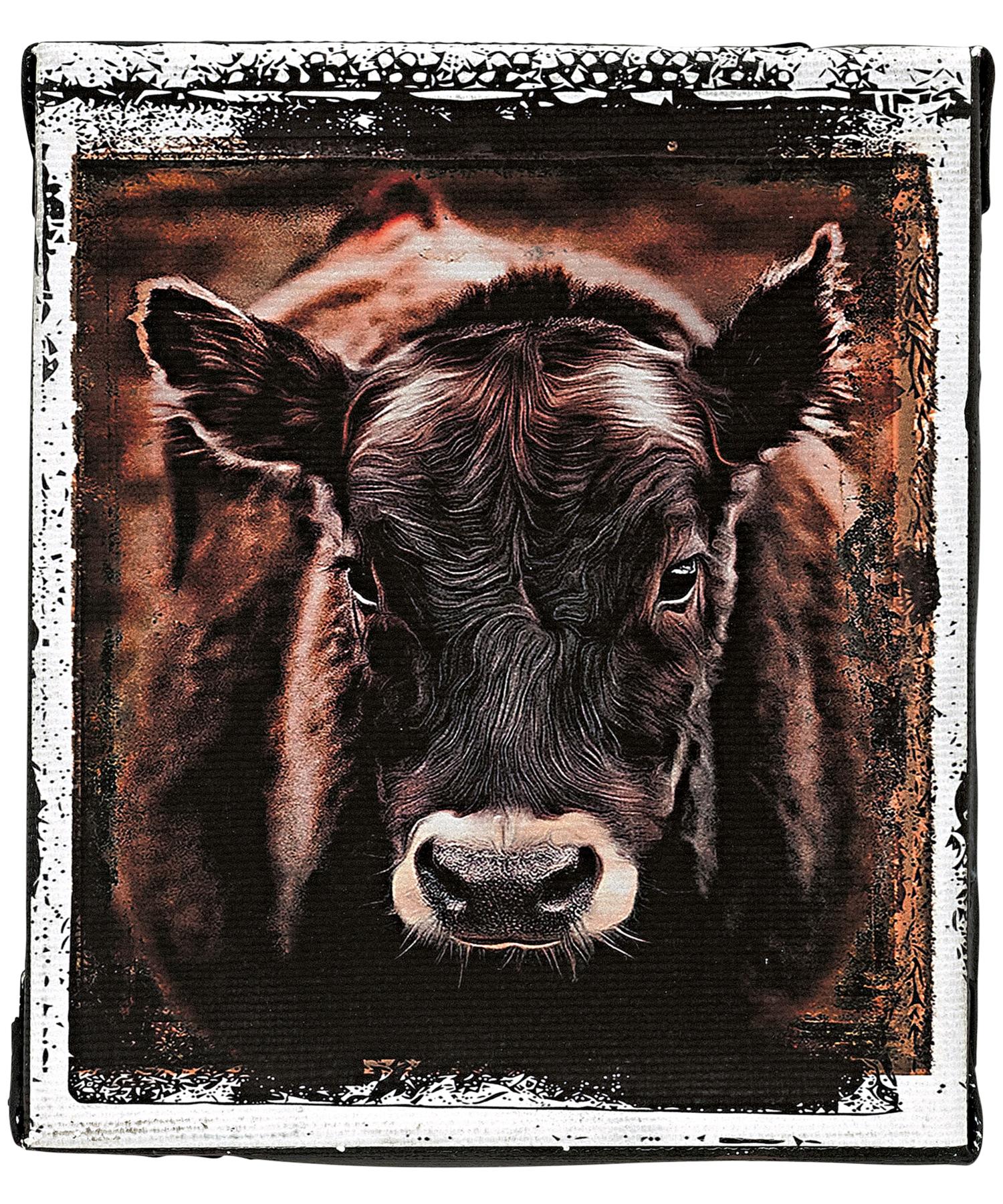 Imago Mundi Collection